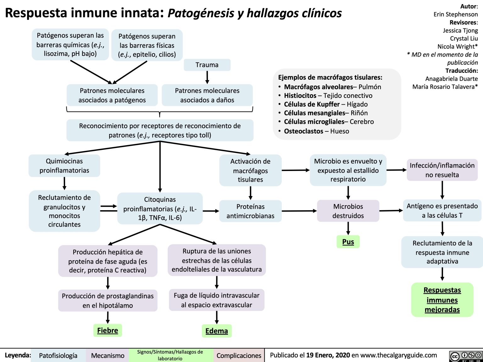 Respuesta inmune innata: Patogénesis y hallazgos clínicos | Calgary Guide