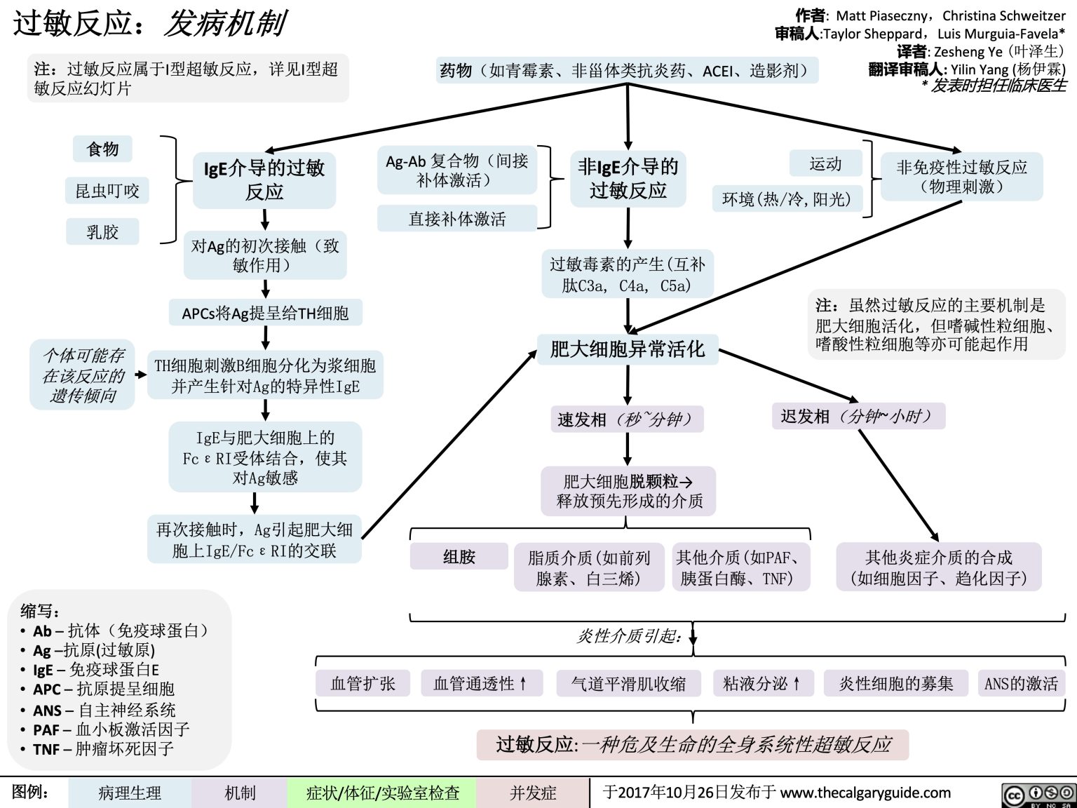过敏反应: 发病机制 | Calgary GuideCalgary Guide