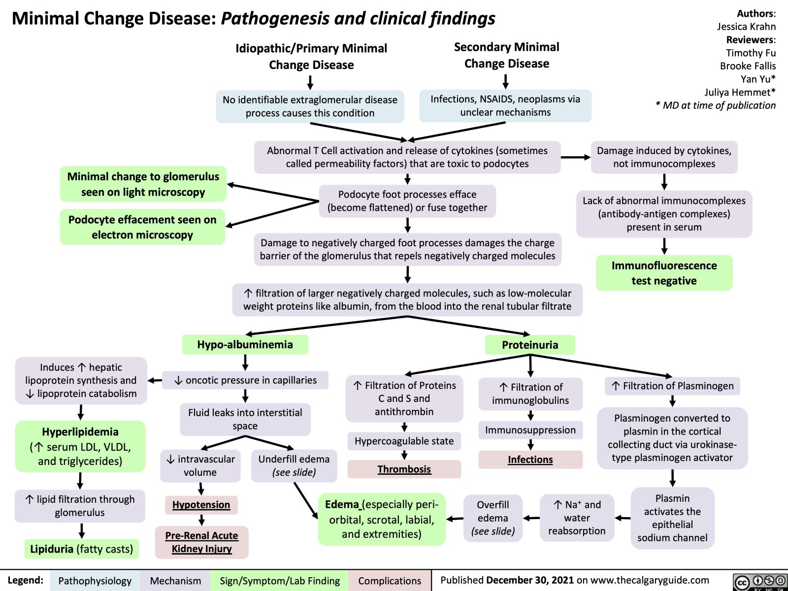 Minimal Change Disease: Pathogenesis and clinical findings | Calgary ...