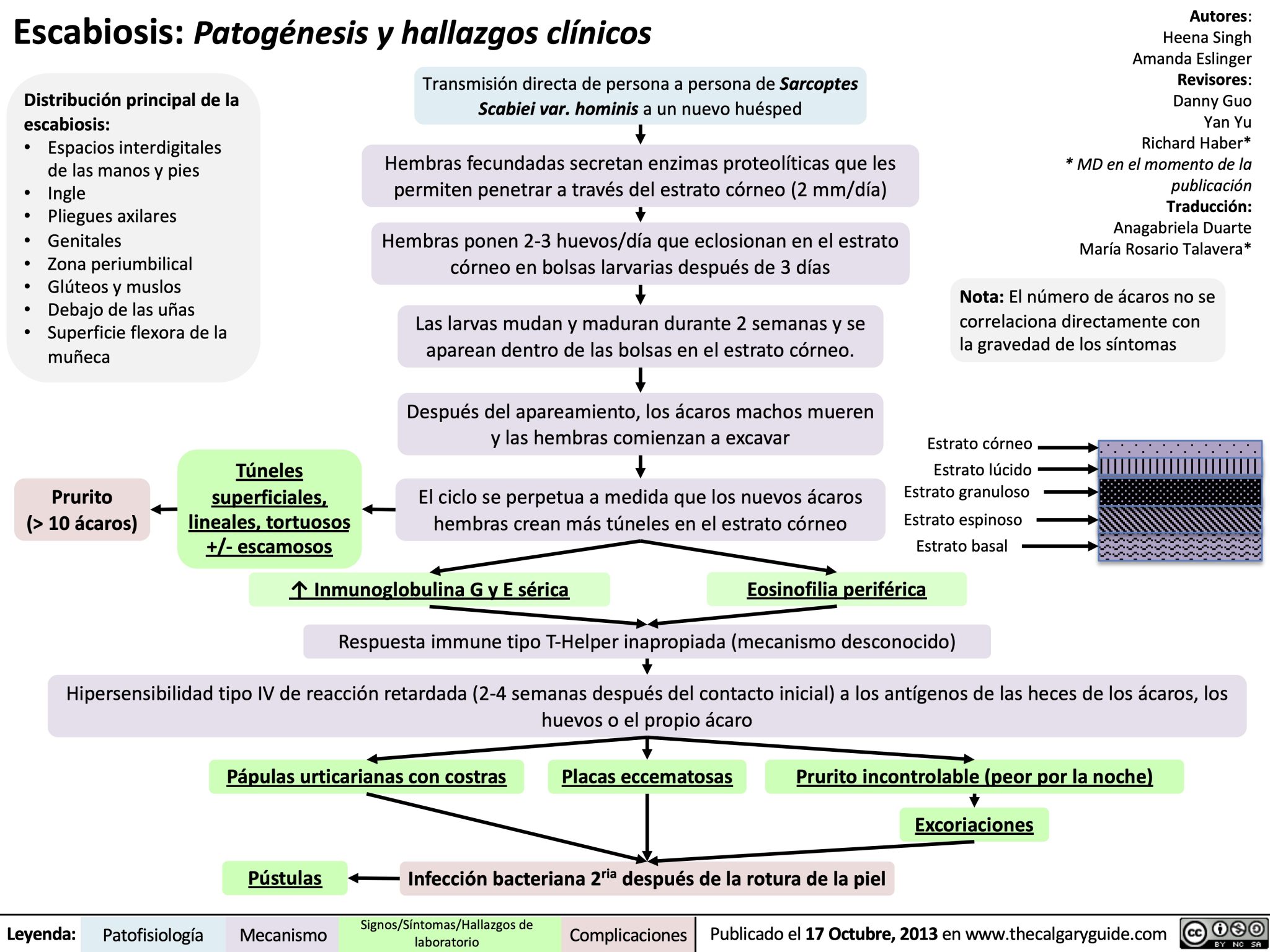 escabiosis-patogenesis-y-hallazgos-clinicos | Calgary Guide