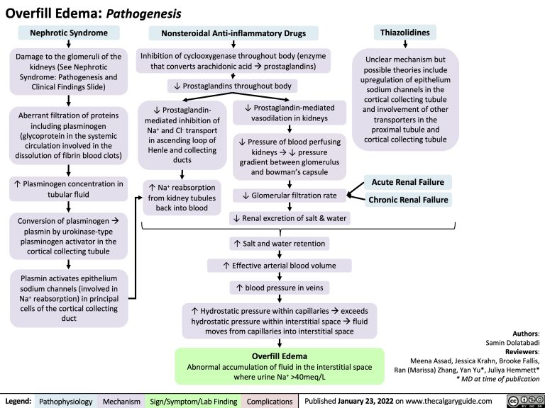 Overfill Edema: Pathogenesis | Calgary Guide