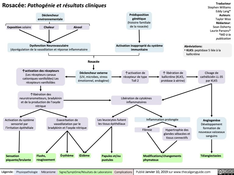 Rosacée: Pathogénie et résultats cliniques | Calgary Guide