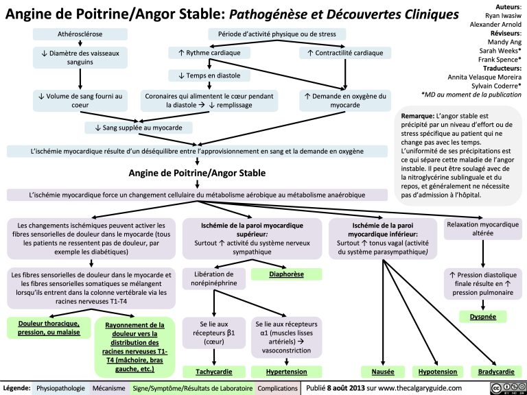 Angine de Poitrine/Angor Stable: Pathogénèse et Découvertes Cliniques ...