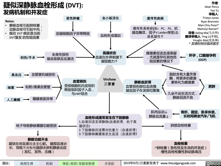 疑似深静脉血栓形成 (DVT): 发病机制和并发症 | Calgary Guide