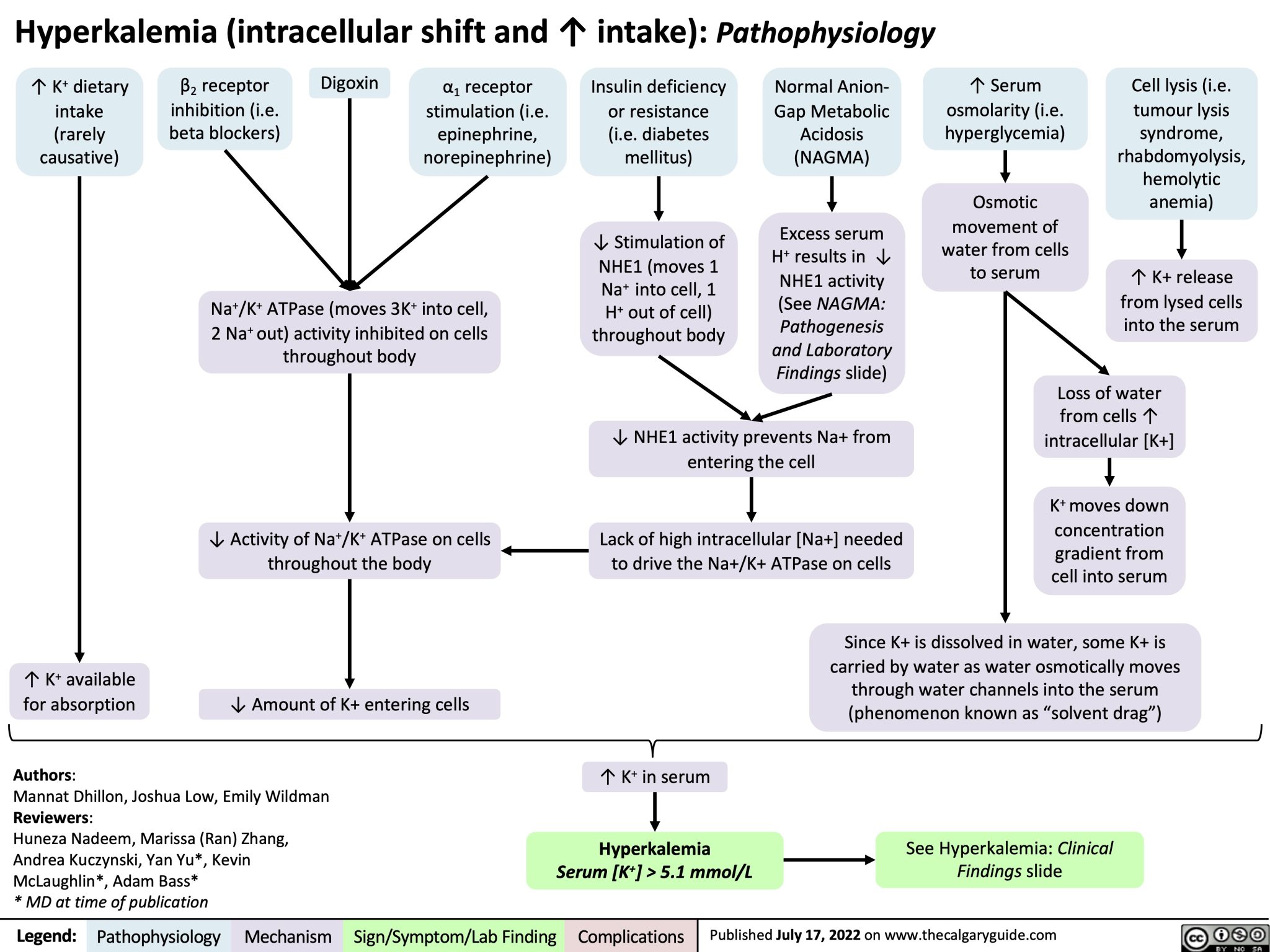 hyperkalemia-pathophysiology-intracellular-shift-and-intake | Calgary Guide