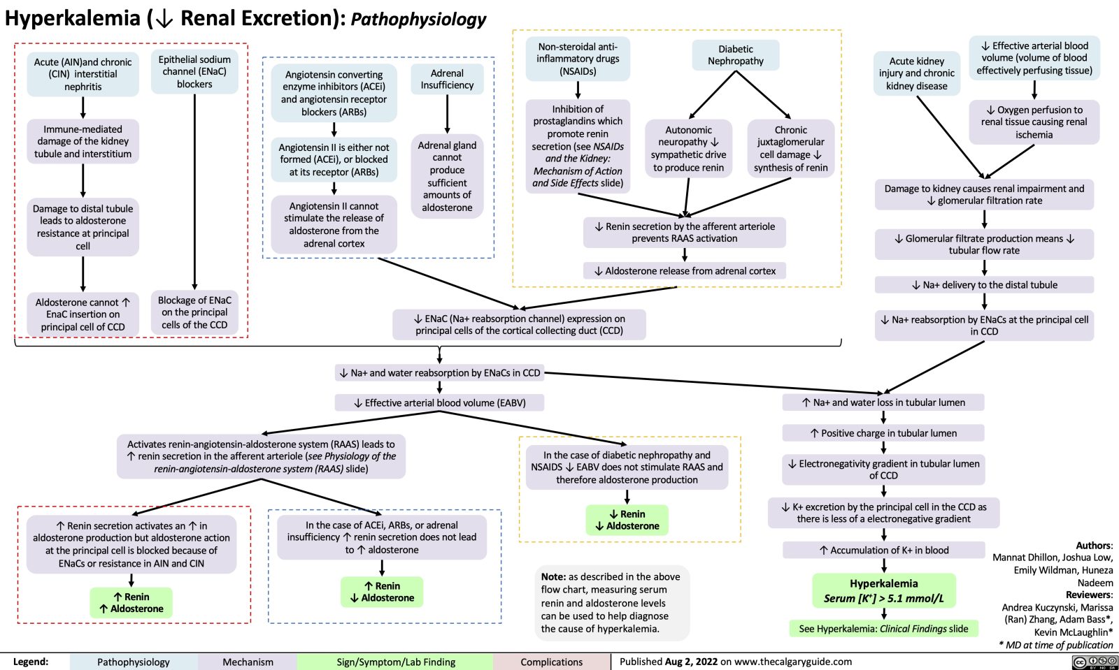 Hyperkalemia: Detailed Pathophysiology (↓ Renal Excretion) | Calgary ...