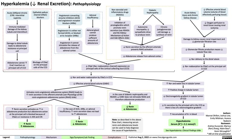 Hyperkalemia: Detailed Pathophysiology (↓ Renal Excretion) | Calgary ...