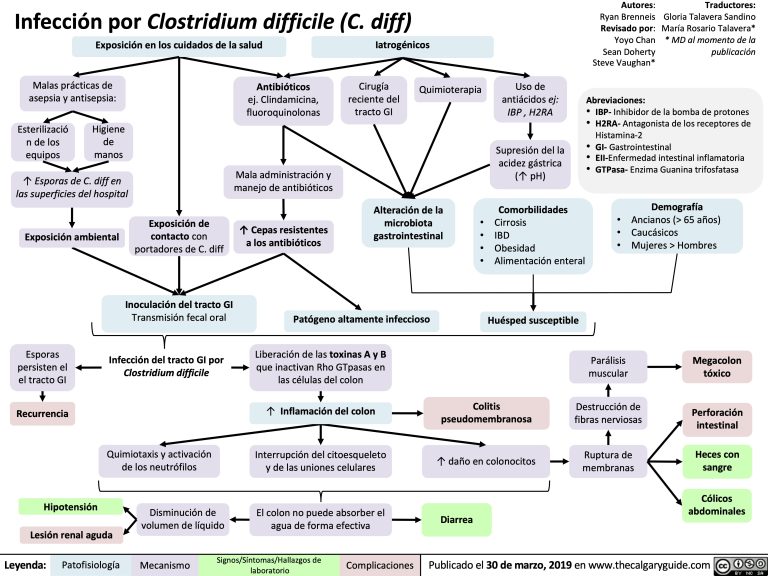 infeccion-por-clostridium-difficile-c-diff | Calgary Guide