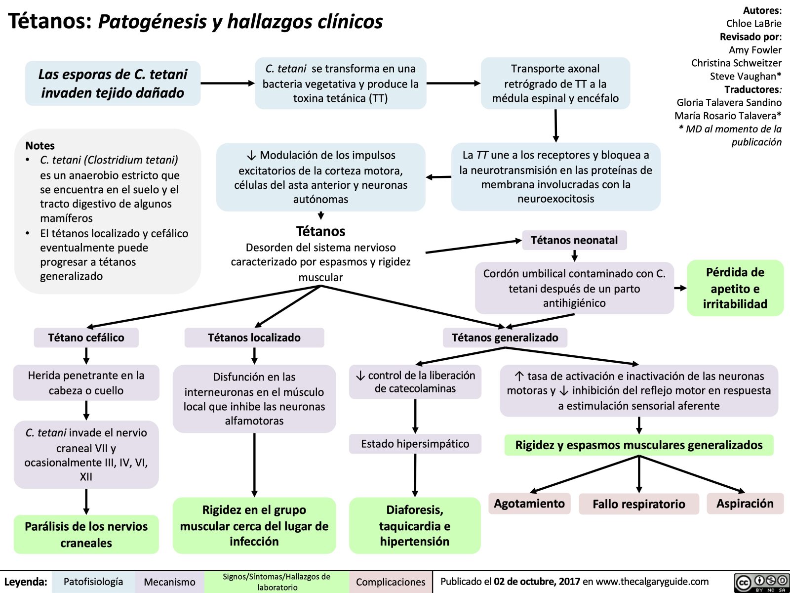 Tétanos: Patogénesis y hallazgos clínicos | Calgary GuideCalgary Guide