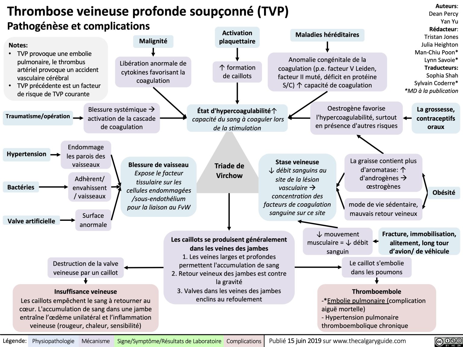 thrombose-veineuse-profonde-soupconne-tvp-pathogenese-et-complications ...