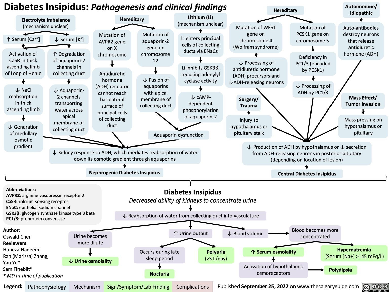Diabetes Insipidus: Pathogenesis and clinical findings | Calgary ...