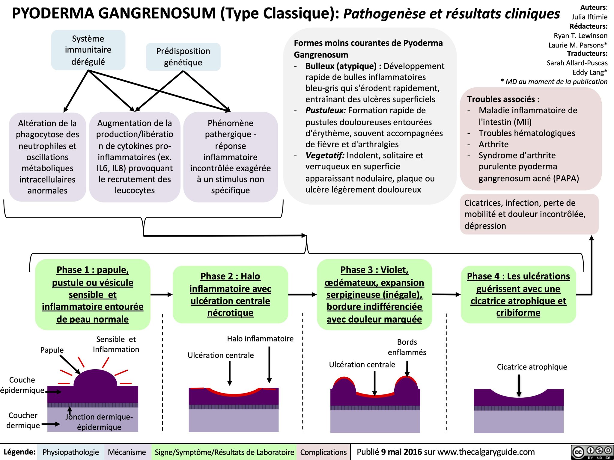 pyoderma-gangrenosum-type-classique-pathogenese-et-resultats-cliniques ...
