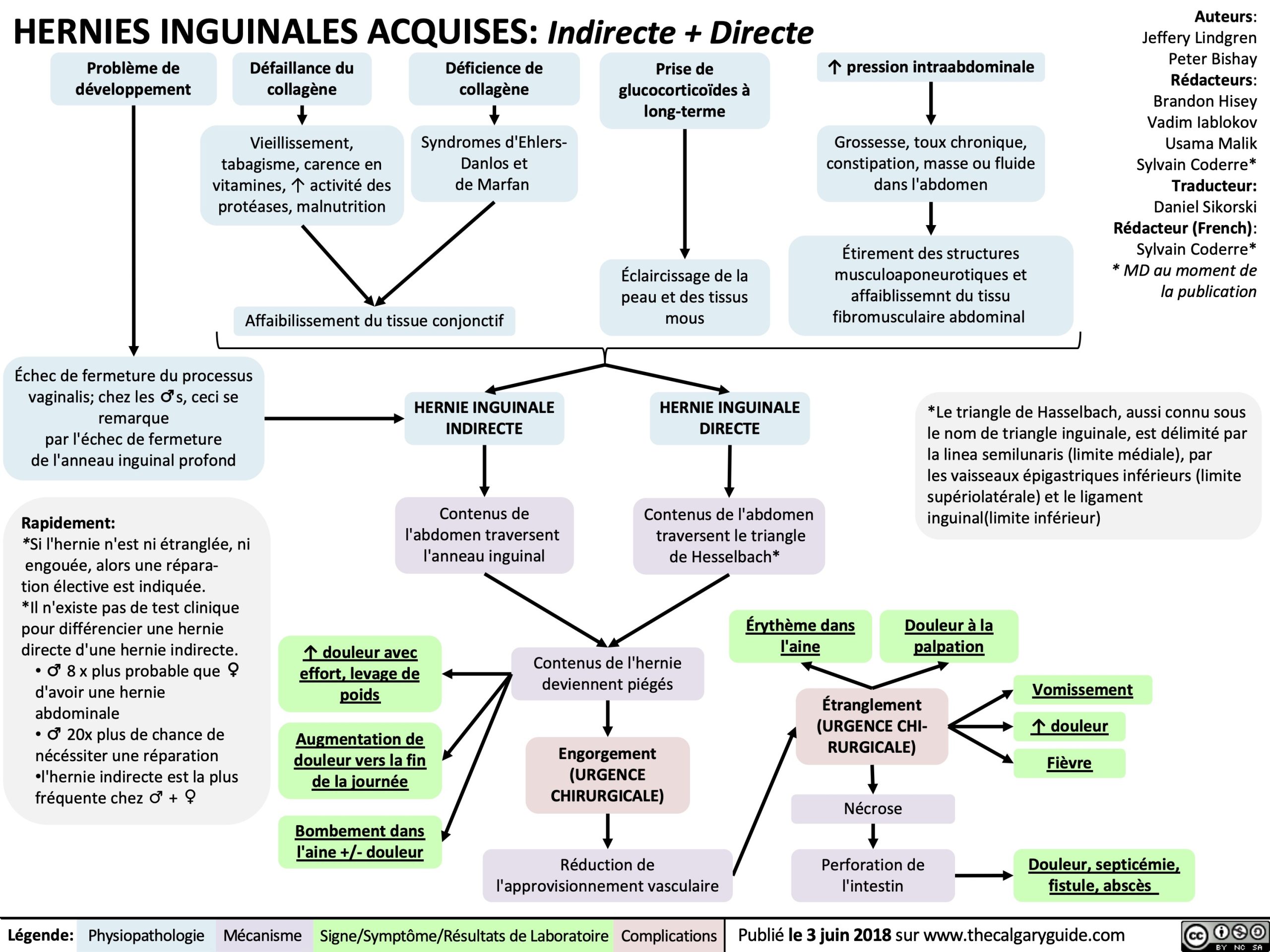 hernies-inguinales-acquises-indirect-directe | Calgary Guide