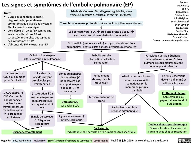 Les signes et symptômes de l’embolie pulmonaire (EP) | Calgary ...