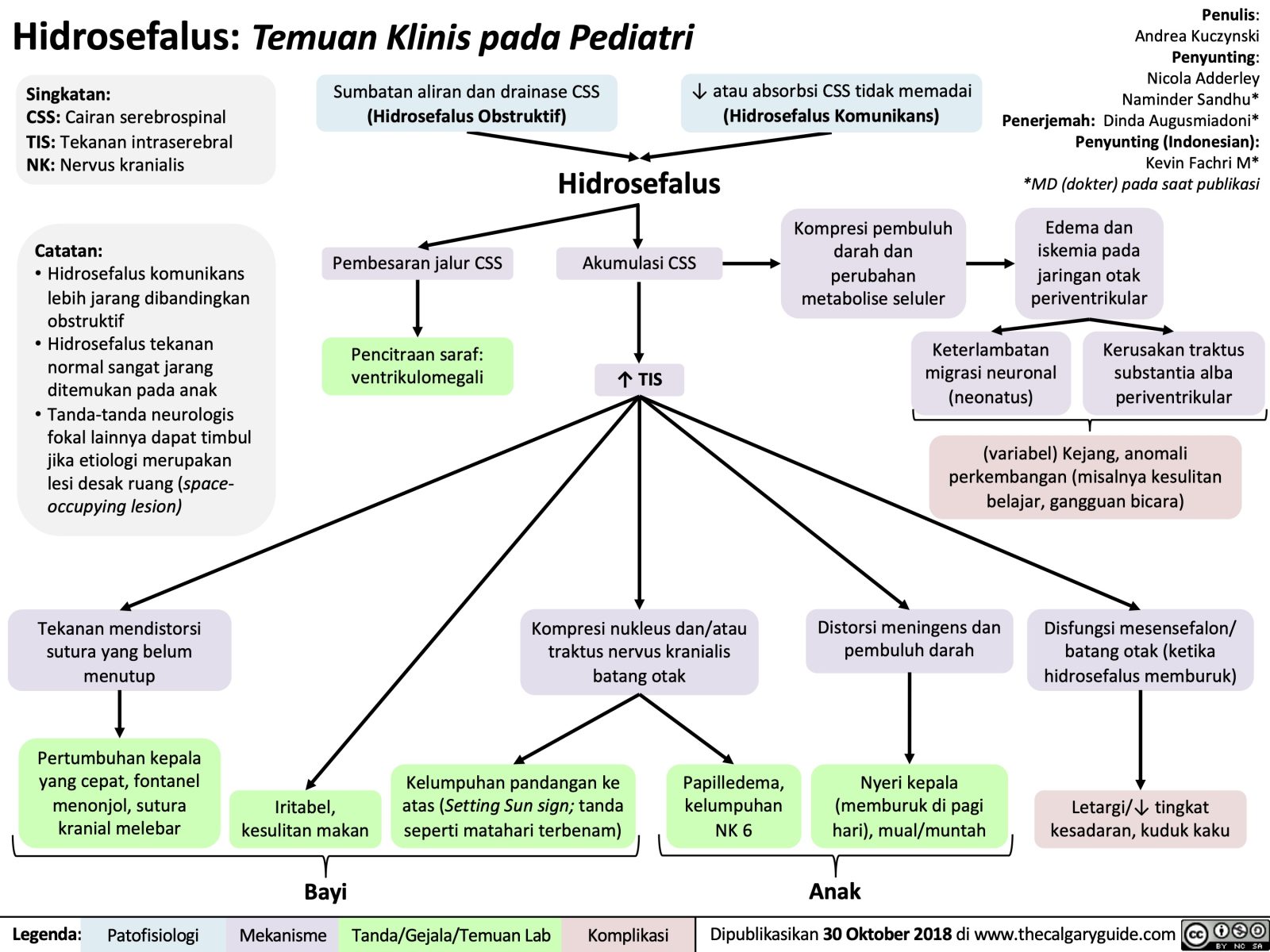 Hidrosefalus: Temuan Klinis pada Pediatri | Calgary Guide