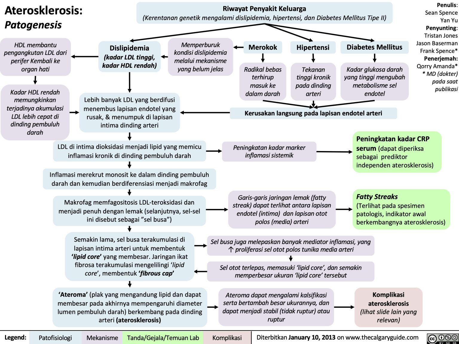 Aterosklerosis: Patogenesis | Calgary GuideCalgary Guide