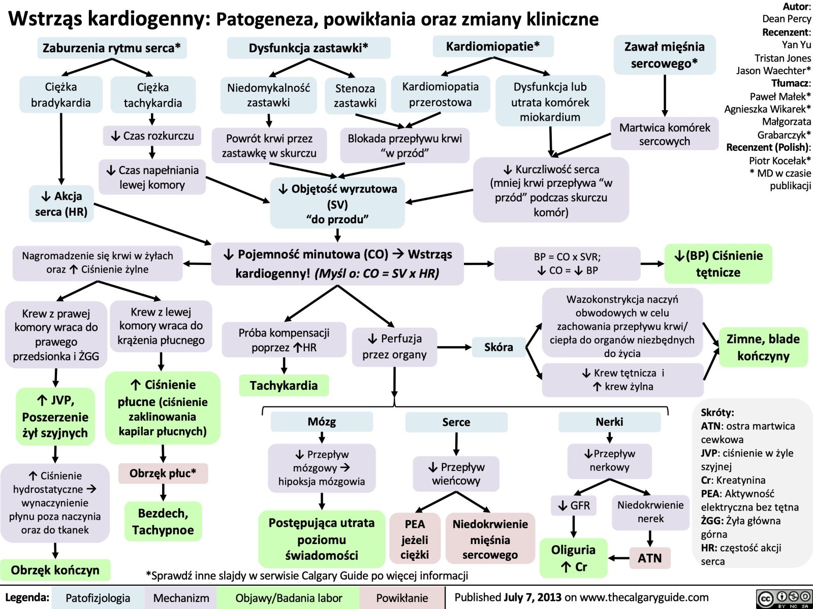 Wstrząs kardiogenny: Patogeneza, powikłania oraz zmiany kliniczne ...