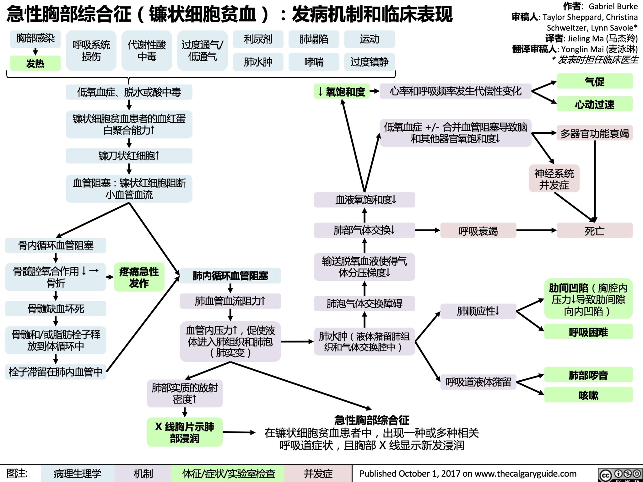 急性胸部综合征(镰状细胞贫血):发病机制和临床表现 | Calgary GuideCalgary Guide