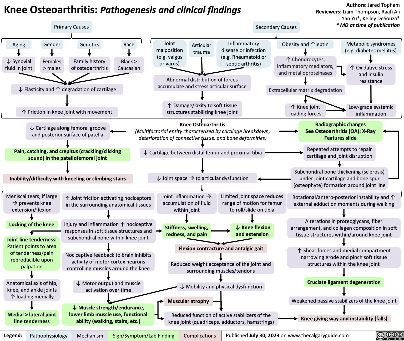 Knee Osteoarthritis: Pathogenesis and clinical findings | Calgary Guide