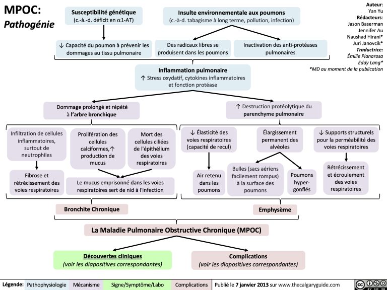 MPOC: Pathogénie | Calgary Guide