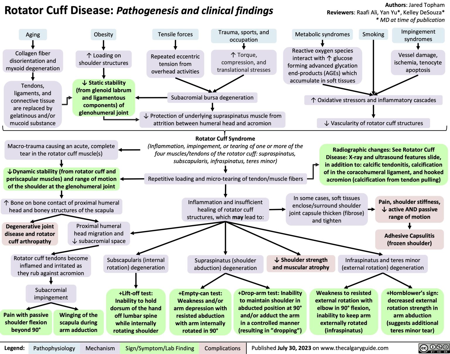 Rotator Cuff Disease | Calgary Guide