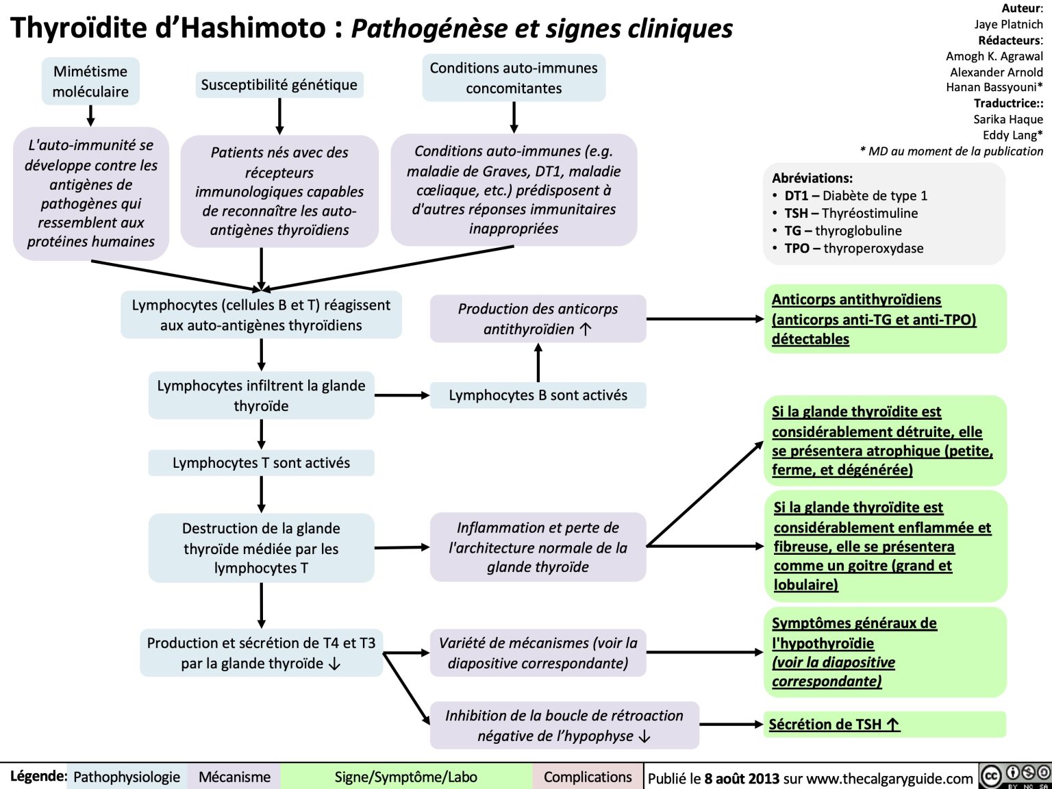 Thyroïdite d’Hashimoto: Pathogénèse et signes cliniques | Calgary ...