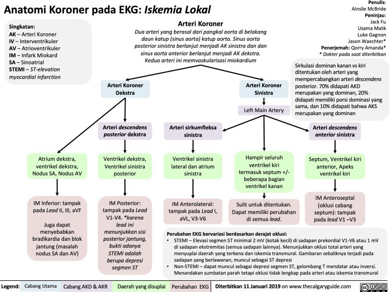 Anatomi Koroner pada EKG: Iskemia Lokal | Calgary Guide
