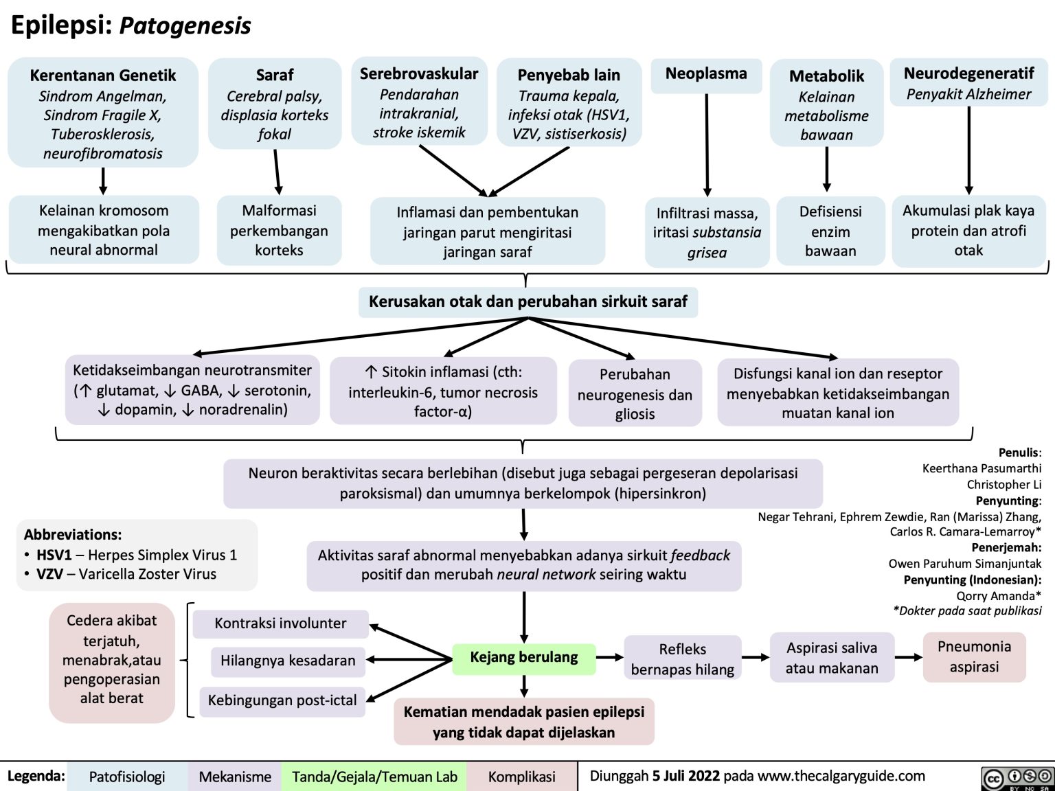 Epilepsi: Patogenesis | Calgary Guide