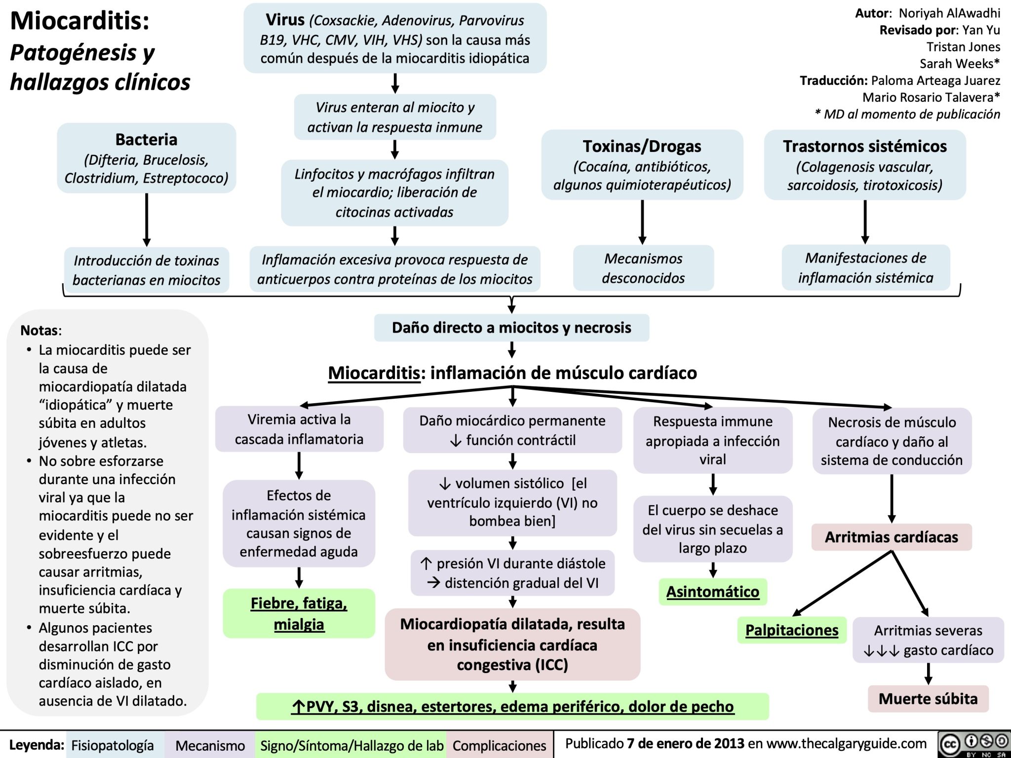 Miocarditis: Patogénesis y hallazgos clínicos | Calgary Guide