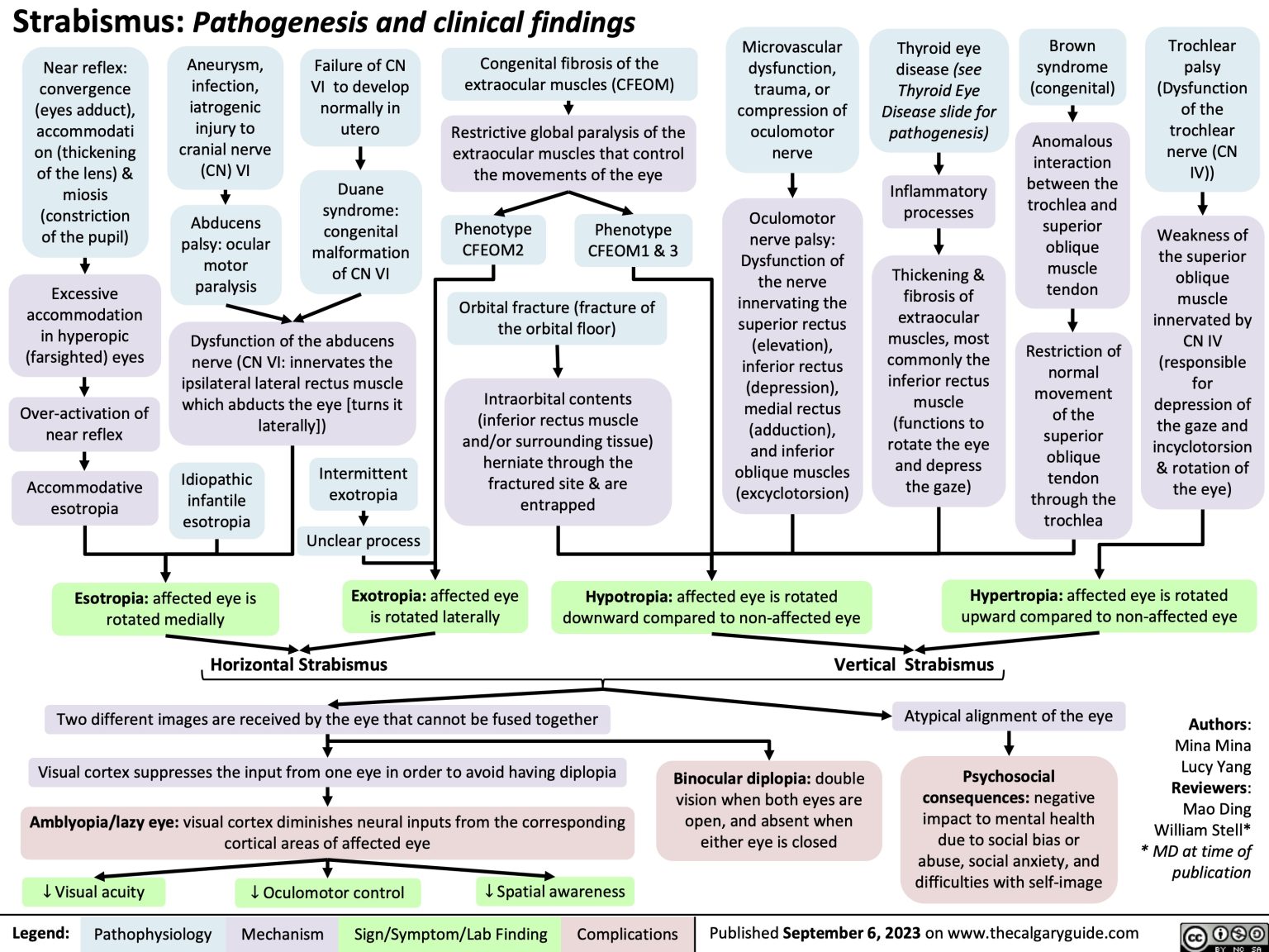 Strabismus: Pathogenesis and clinical findings | Calgary GuideCalgary Guide