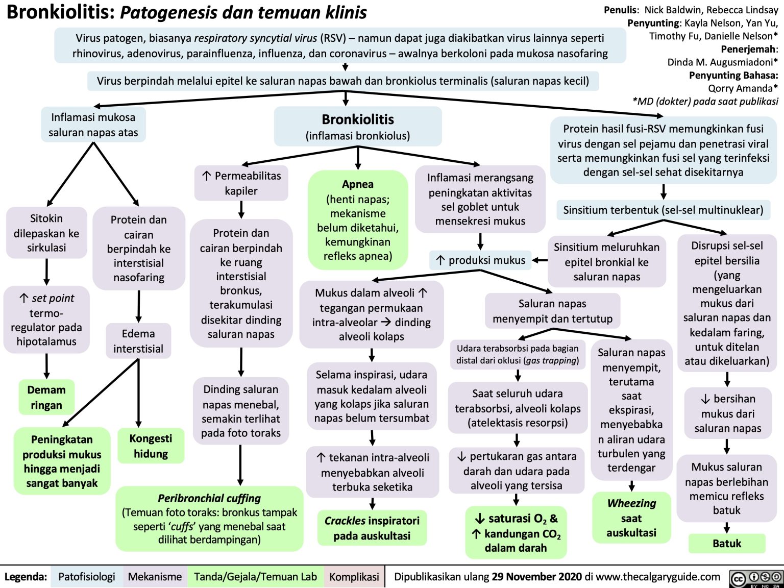 Bronkiolitis Patogenesis dan temuan klinis | Calgary Guide