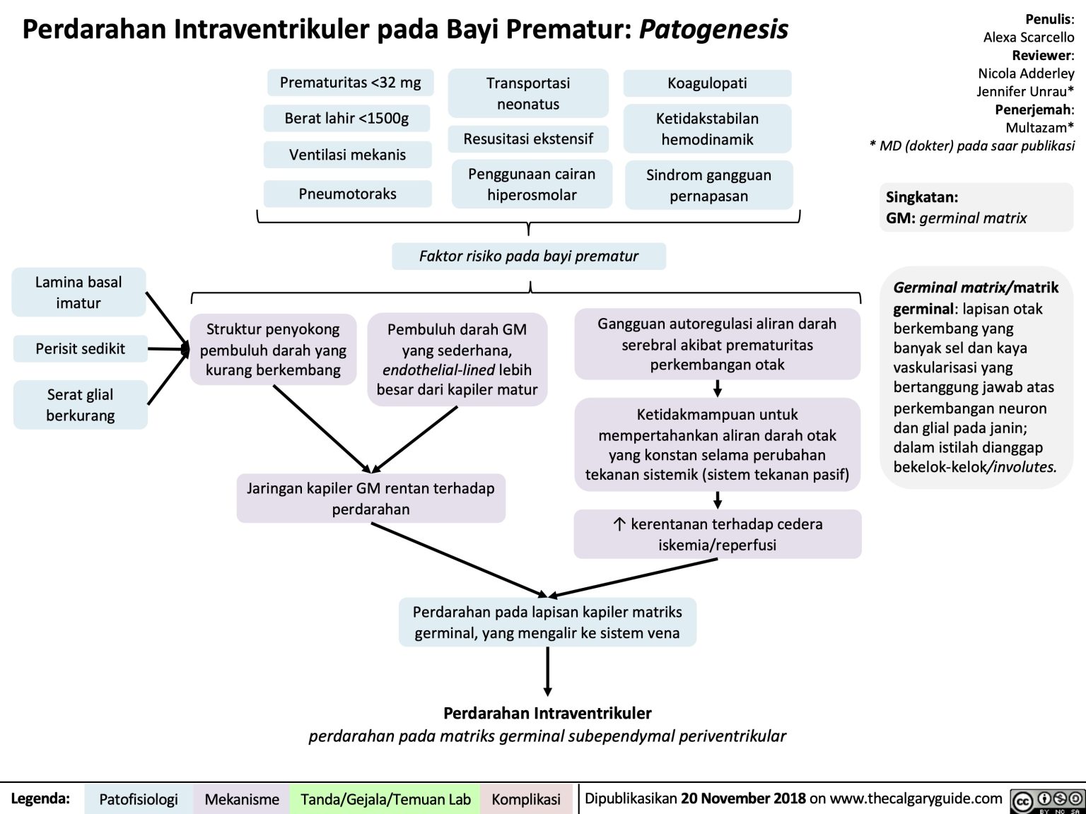 Perdarahan Intraventrikuler pada Bayi Prematur: Patogenesis | Calgary ...