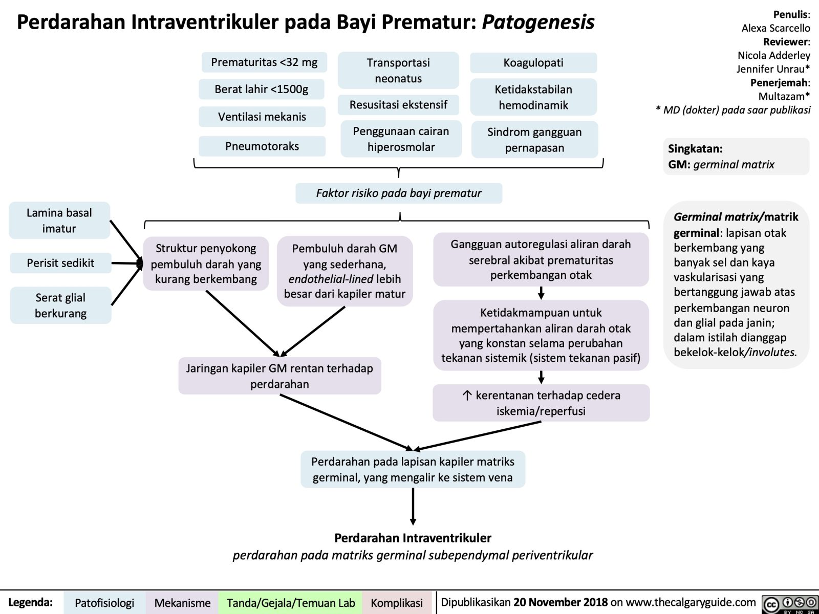 Perdarahan Intraventrikuler pada Bayi Prematur: Patogenesis | Calgary ...
