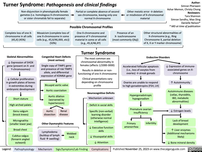 Turner Syndrome: Pathogenesis and clinical findings | Calgary Guide