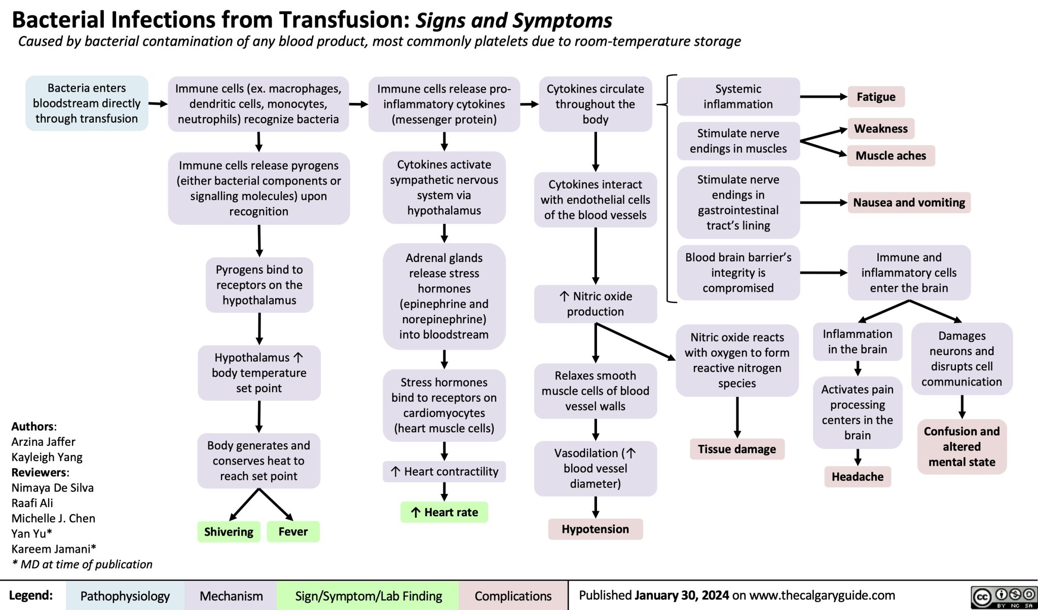 Bacterial Infections from Transfusion | Calgary Guide