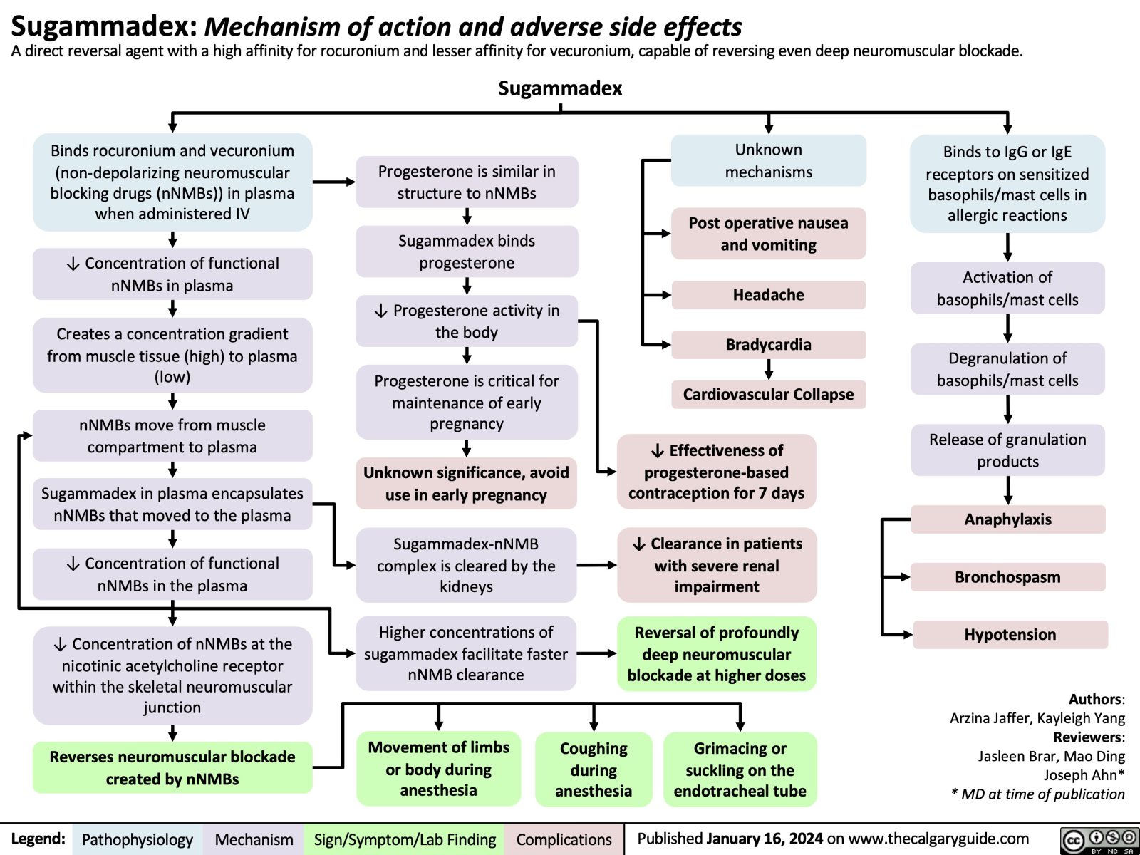 Sugammadex | Calgary GuideCalgary Guide