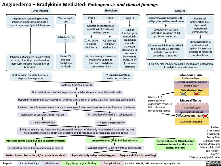 Angioedema – Bradykinin Mediated | Calgary GuideCalgary Guide