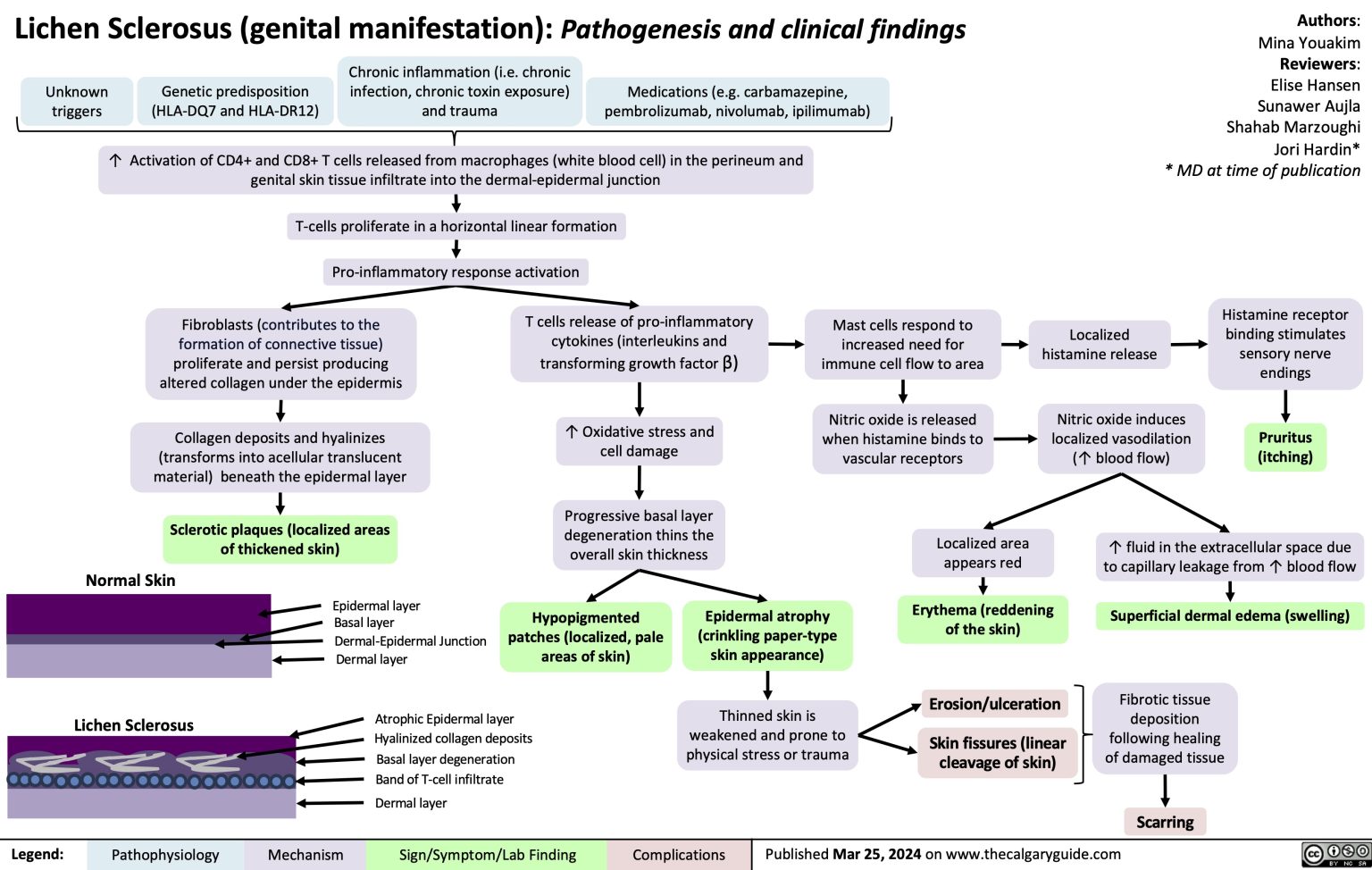 Lichen Sclerosus | Calgary Guide