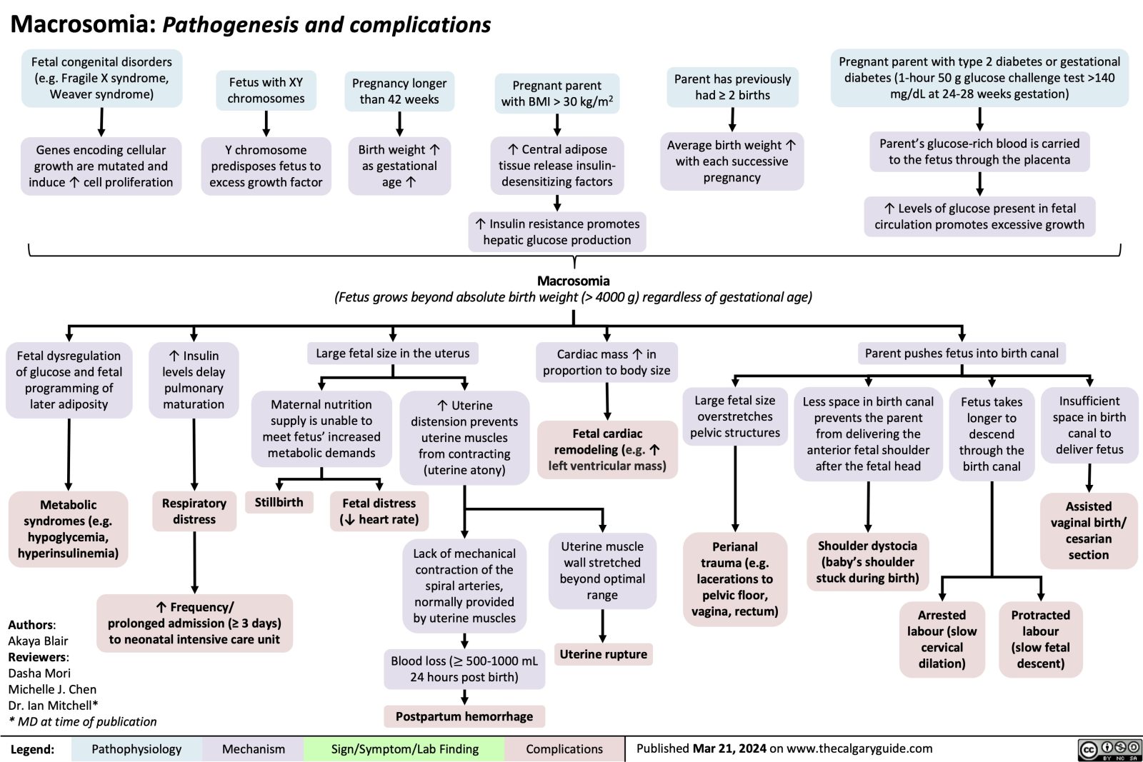Macrosomia: Pathogenesis and Complications | Calgary GuideCalgary Guide