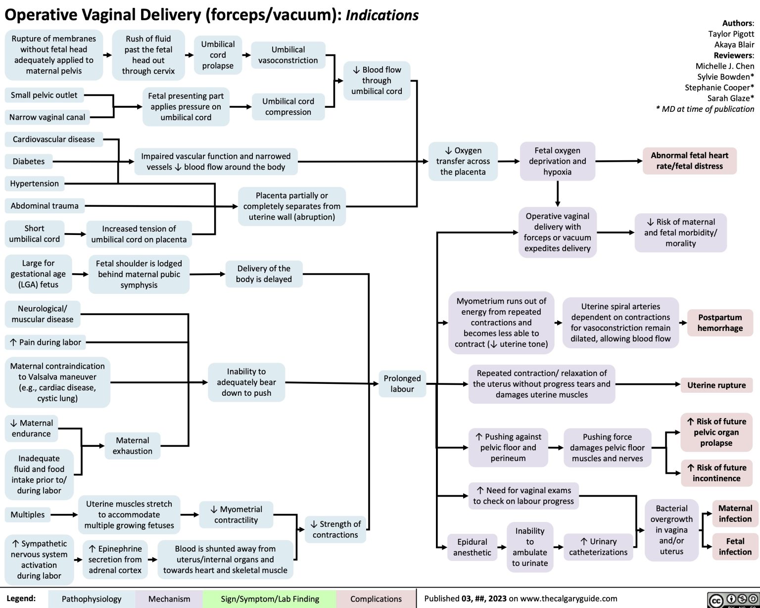 Operative Vaginal Delivery Indications | Calgary GuideCalgary Guide