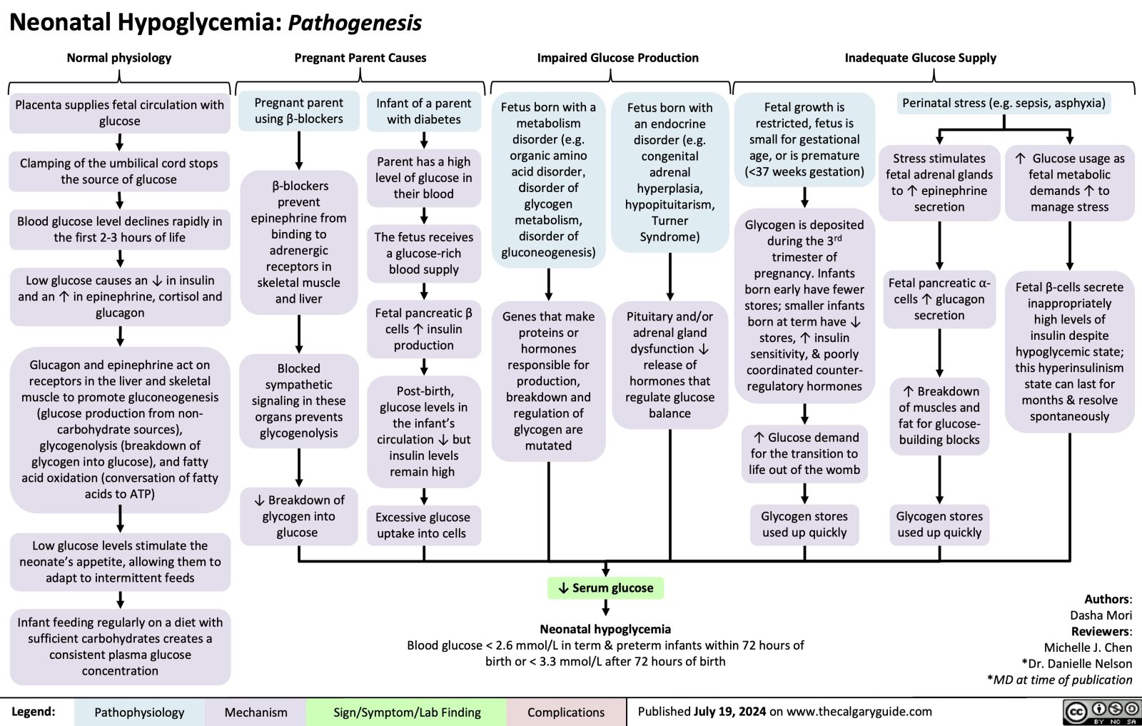 Neonatal Hypoglycemia: Pathogenesis | Calgary GuideCalgary Guide
