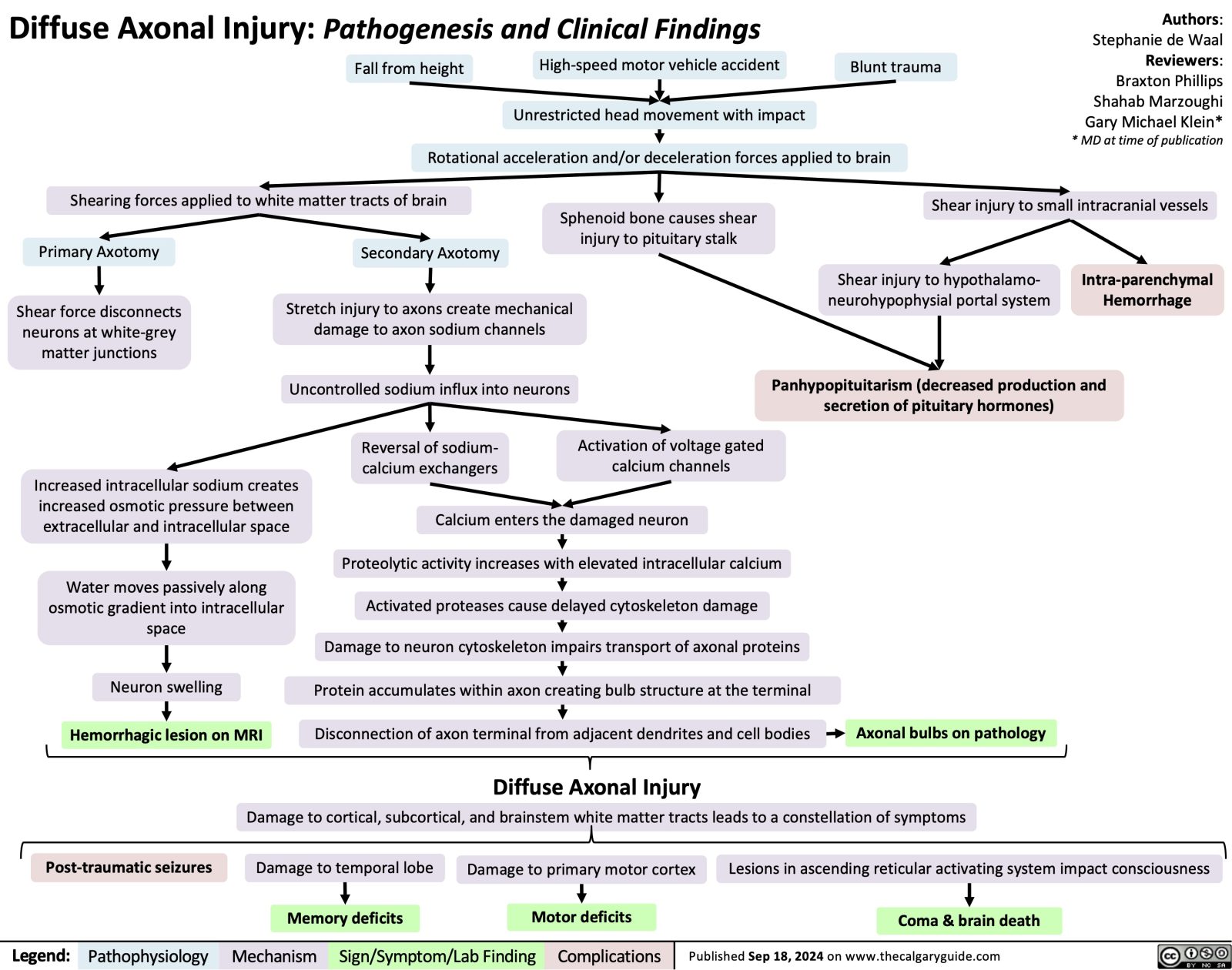 Diffuse Axonal Injury | Calgary Guide