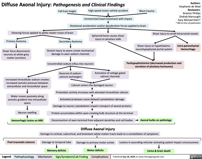 Diffuse Axonal Injury | Calgary GuideCalgary Guide