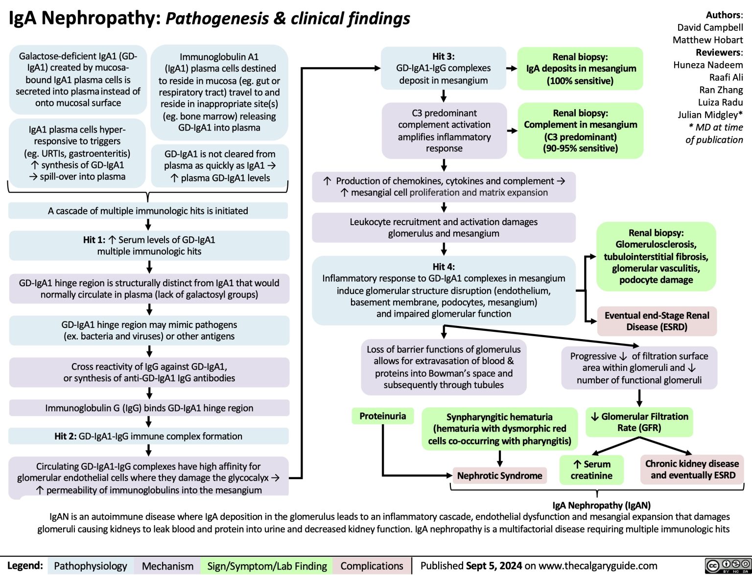 IgA Nephropathy | Calgary Guide