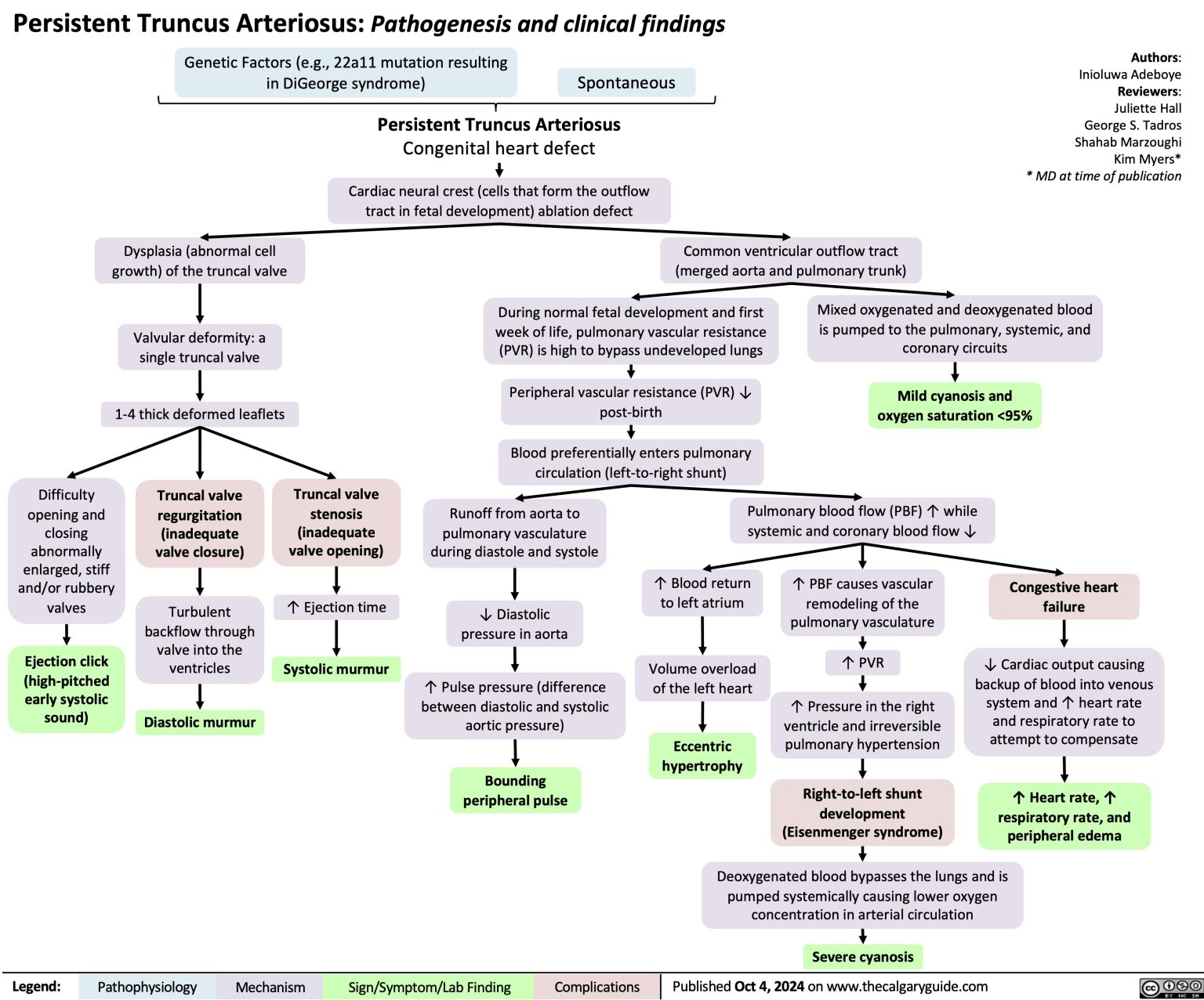 Persistent Truncus Arteriosus | Calgary GuideCalgary Guide
