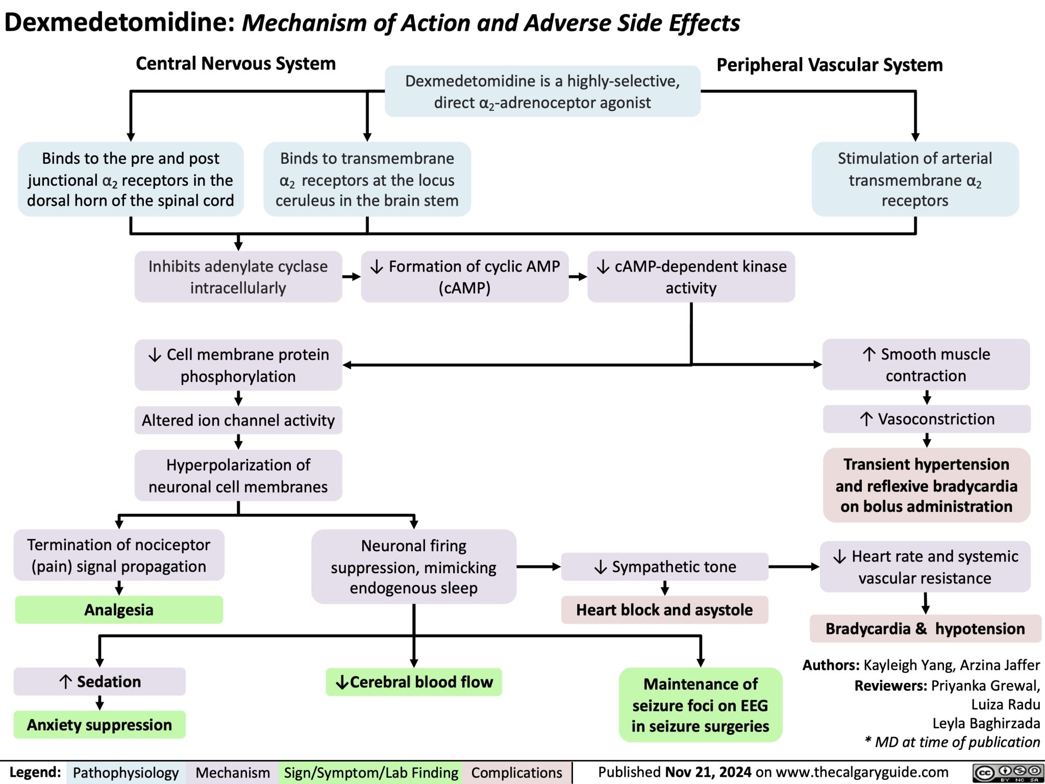 Dexmedetomidine | Calgary Guide