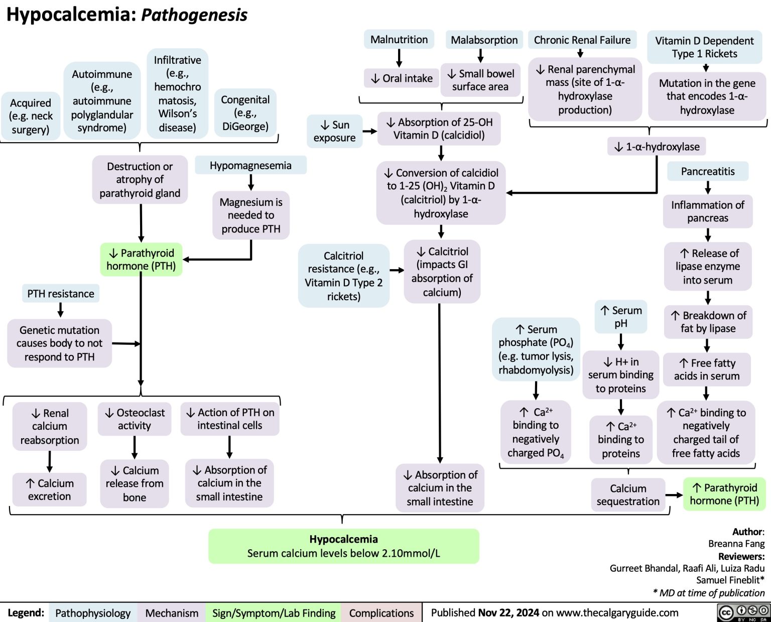 Hypocalcemia Pathogenesis | Calgary GuideCalgary Guide