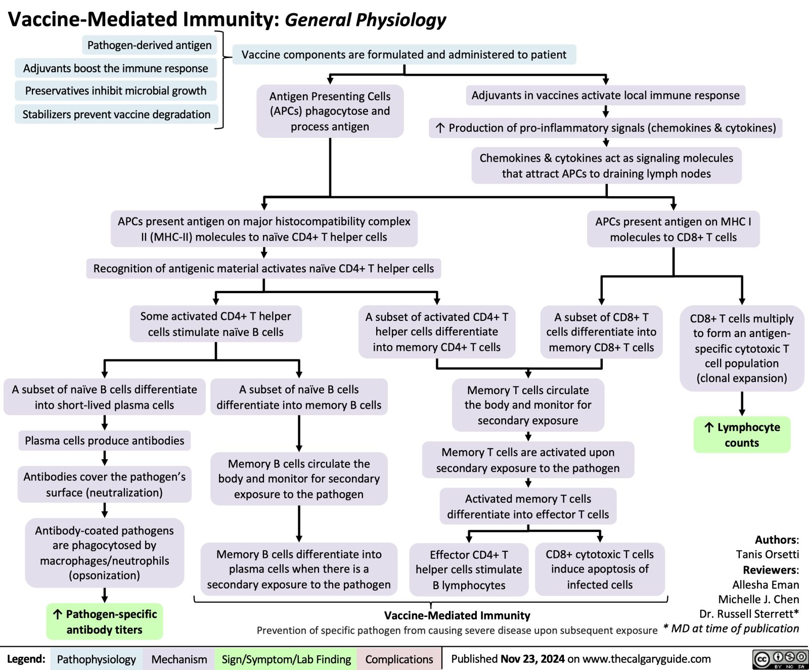Vaccine-Mediated Immunity General Physiology | Calgary Guide