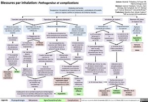 Blessures par inhalation | Calgary GuideCalgary Guide