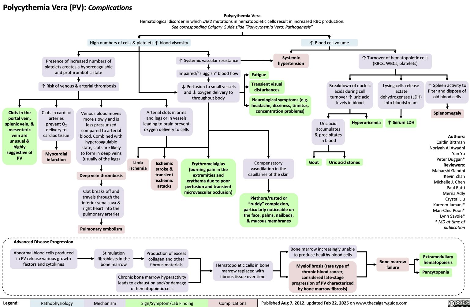 Polycythemia Vera: Complications | Calgary Guide